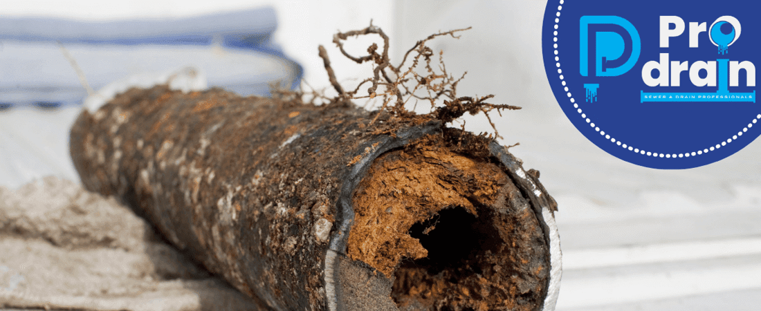 August 2019 Blogs | Pro Drain Inc